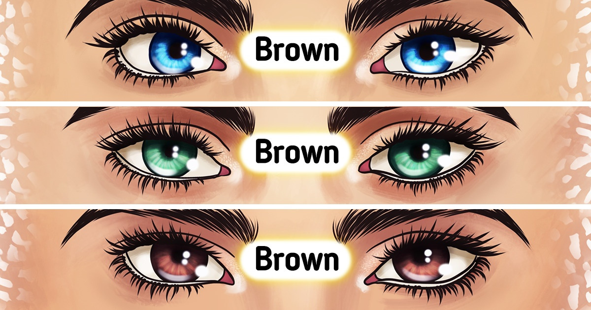 How The Human Eye Works 5 Minute Crafts